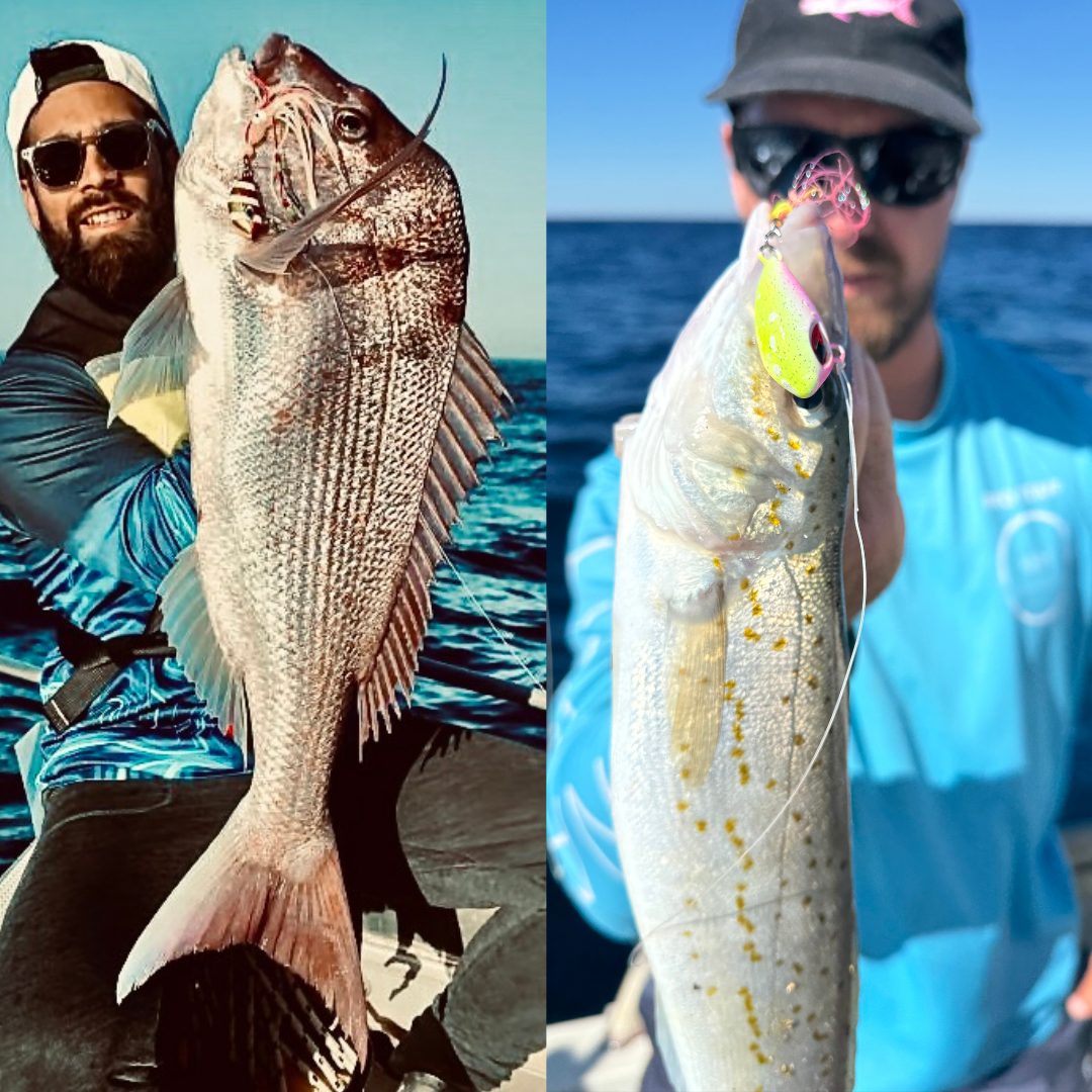 KG Whiting | Snapper Bundles – SnapBait Australia
