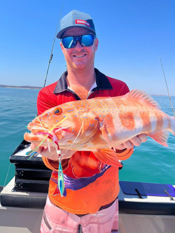 Proto-J- BUNDLE PACKS – SnapBait Australia