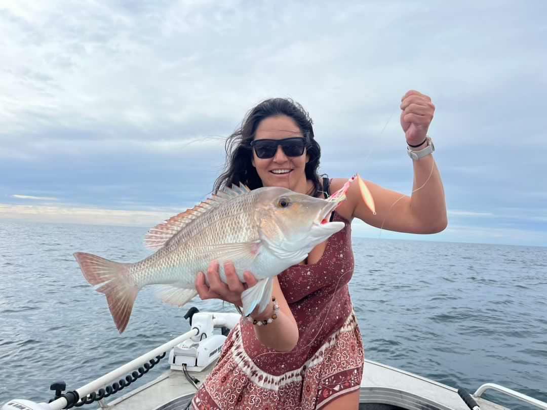 Proto-J- BUNDLE PACKS – SnapBait Australia