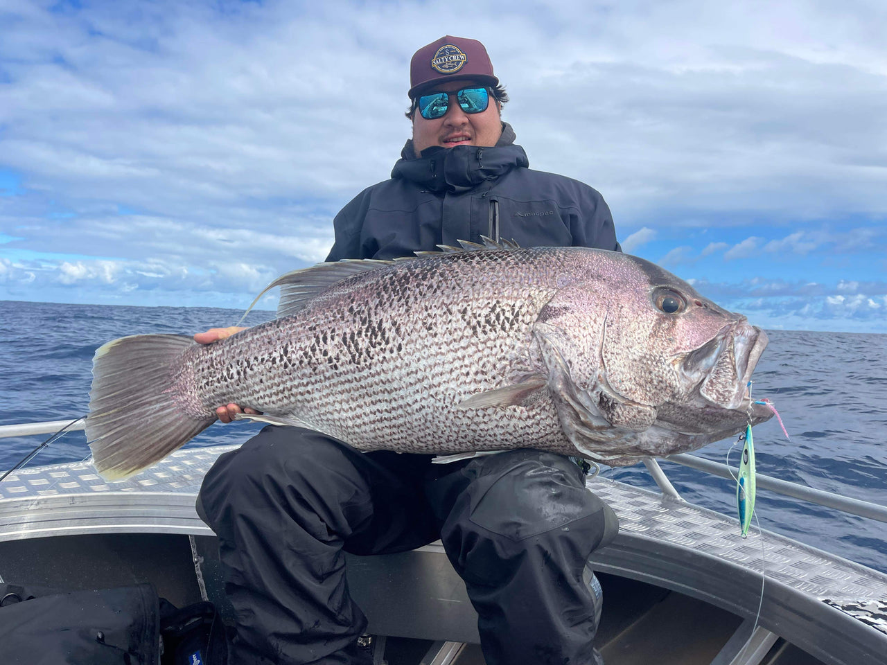 Proto-J- BUNDLE PACKS – SnapBait Australia