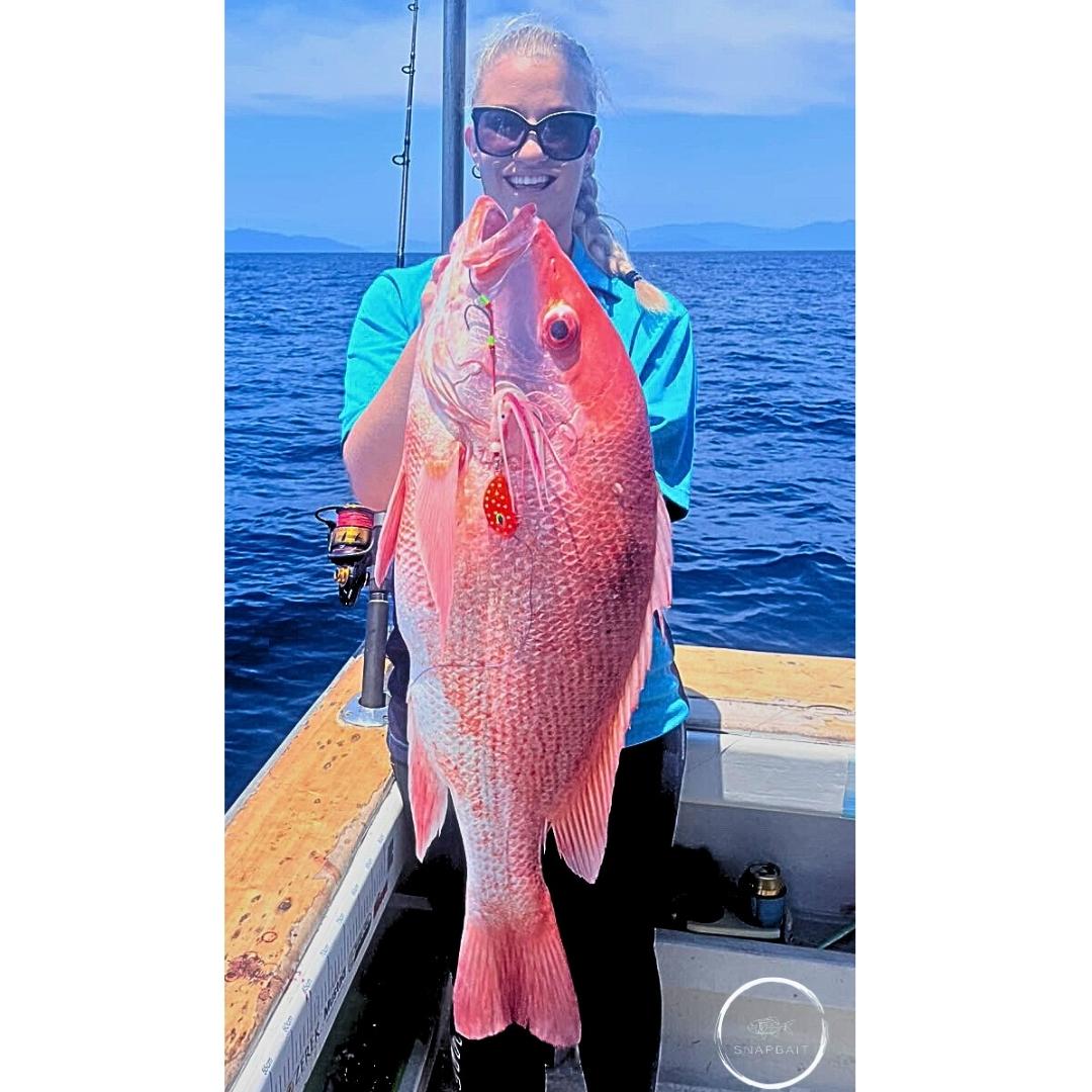 INSHORE Triple Threat + PROTO-J- BUNDLE PACK – SnapBait Australia